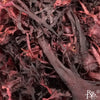 Aka Tosaka Reifu Kanso - Red– Rare Tea Cellar